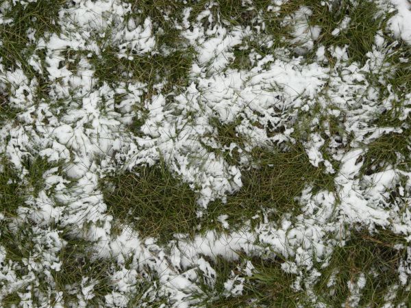 frozen ground texture 0022 - Texturelib